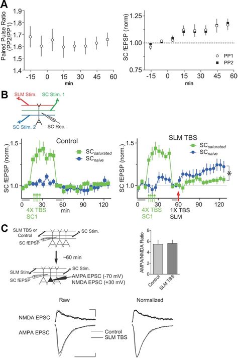 Distal Dendritic Inputs Control Neuronal Activity By Heterosynaptic