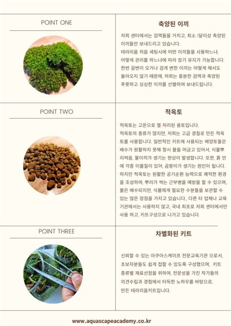 『이끼 테라리움』 소형 Diy 키트 한국 아쿠아스케이프 교육센터