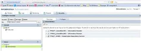 Informatica Repository Manager Cant Configuring Domains