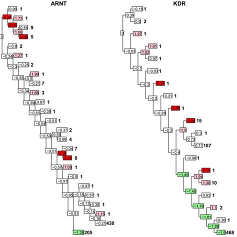Example Of Multilocus Genotype Tree This Tree Is Constructed By Download Scientific Diagram