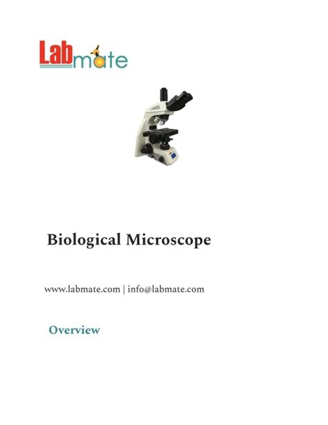 Ppt Biological Microscope Powerpoint Presentation Free Download Id