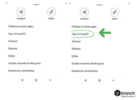 ¿cómo Fijar Posts Y Reels A Tu Perfil De Instagram Branch Agencia