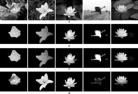 Some Examples Of The Application Of Saliency Detection In Grabcut A Download Scientific Diagram