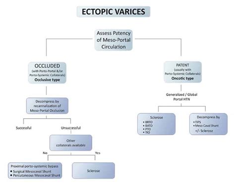 Algorithm For Endovascular Management Of Ectopic Varices Based On Download Scientific Diagram
