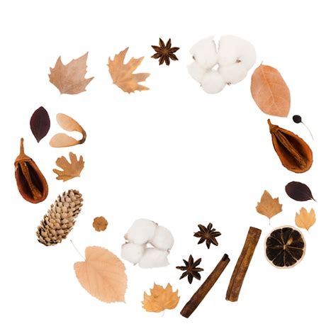 Premium Psd Autumn Foliage Frame Design