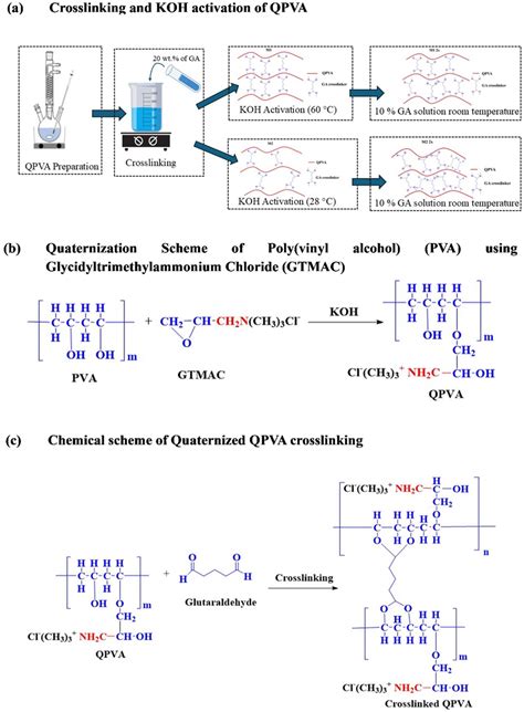 Schematic Representation Of The Synthesis And Crosslinking Process For Download Scientific