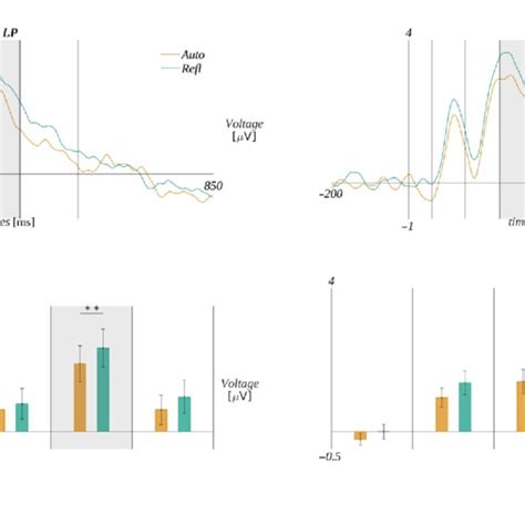 Top Gfp Time Course With 0 At The Onset Of The Word Reading Task Download Scientific Diagram