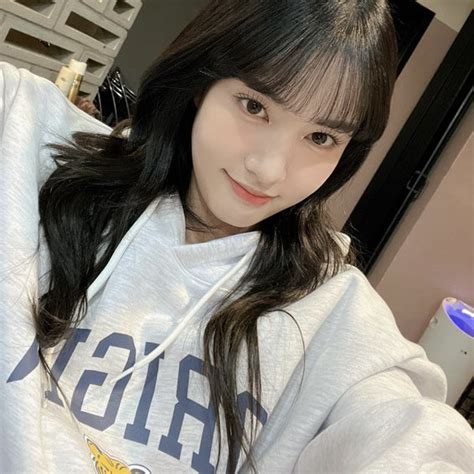 오늘의 아이돌 옷장 On Twitter 셀럽 스테이씨 윤 브랜드 코드그라피 Code Graphy 모델 Cgp 오리진 호랑이 로고 후디 멜란지그레이 가격