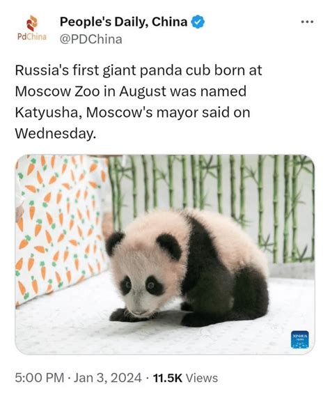 Linda Homenagem A Nossa Nerdcaster Favorita Rjovemnerd