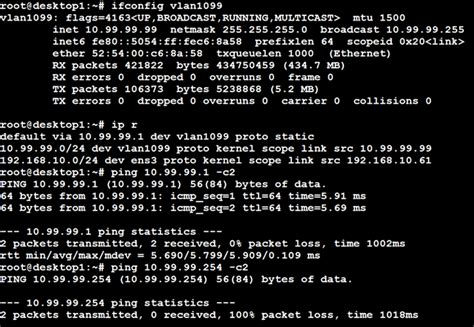 APPENDIX CRB Fabric Verification Optional Juniper Networks