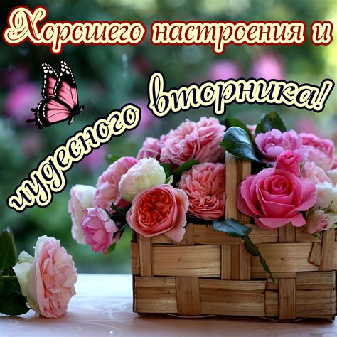 Картинки и открытки Вторник скачать бесплатно