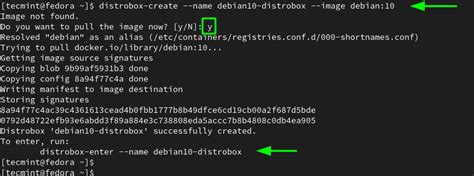 Ultimate Guide To Installing And Using DistroBox On Linux LinuxForDevices