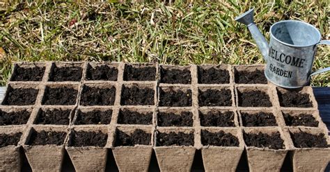 Problem Solving With Arrays Lesson Maths Au