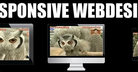 Responsive Owl Design Imgur