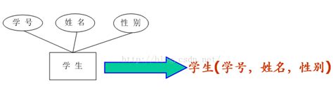 E R模型如何转换为关系模型1nm方法把1端实体主码加入n和meg课程号 Csdn博客