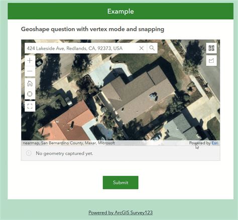 Solved Cant Collect Geoshape With Vertices In Webform Esri Community