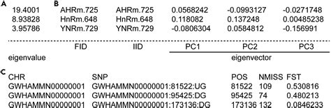 Cell Press Star Protocols