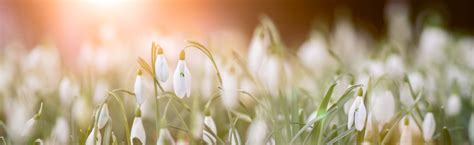 Using Taskexecutor In Spring