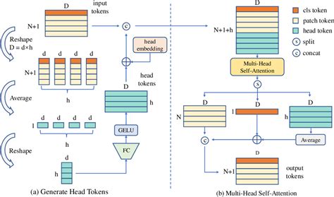 Bridging The Gap Between Vision Transformers And Convolutional Neural Networks On Small Datasets