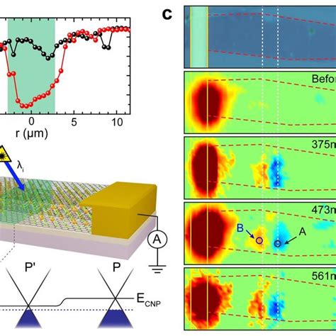 Pdf Extraordinary Linear Dynamic Range In Laser Defined Functionalized Graphene Photodetectors