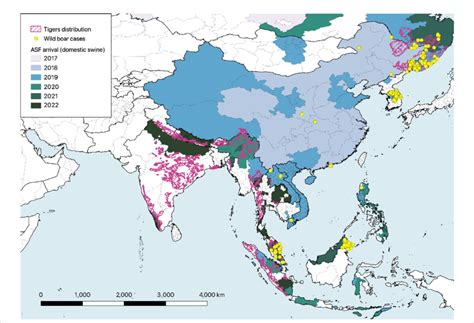 Map Illustrating The Spread Of African Swine Fever Asf Across Asia In Download Scientific