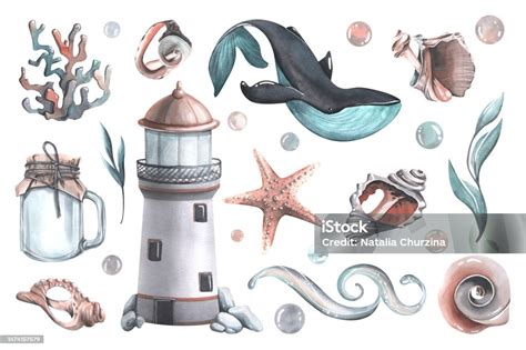 고래 등대 유리 항아리 불가사리 조개 산호 조류 물결 및 거품으로 설정됩니다 Whales 컬렉션의 수채화 삽화 포스터 카드의 장식 및 디자인 조류에 대한 스톡 벡터 아트 및