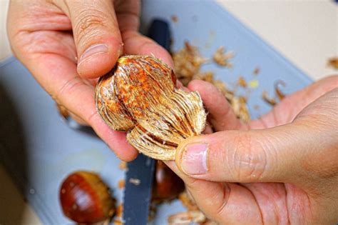 생밤 껍질 까기 밤 속껍질과 밤껍질 쉽게 까는법 그리고 오래 보관하는법 네이버 블로그