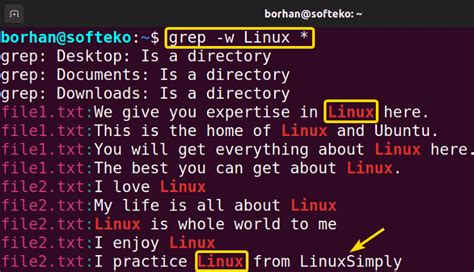 The “grep” Command In Linux 10 Practical Examples