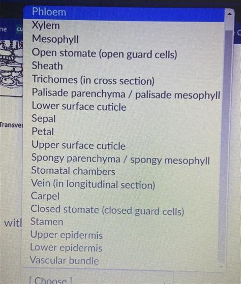 Solved Match Structures 1 16 On Fig 1 With Correct Answer Chegg Com