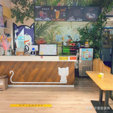 猫咖店如何装修设计打造超治愈高颜值猫咖 知乎
