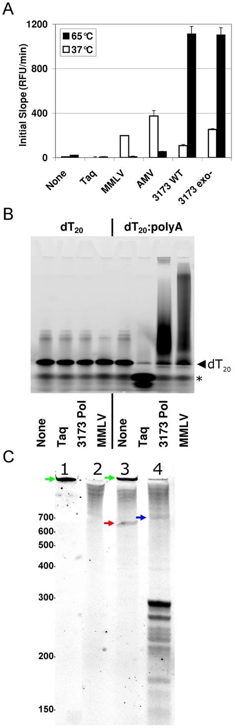 Reverse Transcriptase Assays A Fluorogenic Assay Rt Activity Was