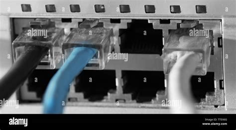 Ethernet Cables Connected To Network Switch Close Up Stock Photo Alamy