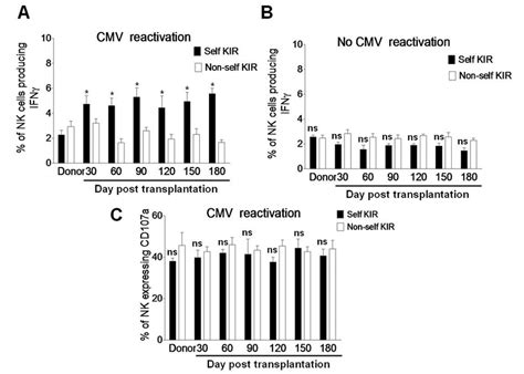Self Kir Is Expressed In Ifnγ Producing Nk Cells During Cmv Download Scientific Diagram