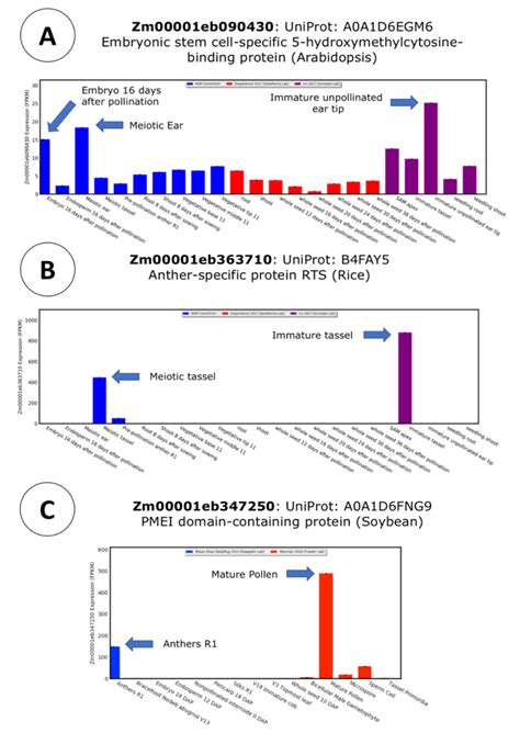 Qteller Results For Three Uncharacterized Proteins The Figure Shows