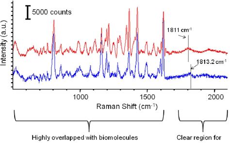 Figure 3 From Sensitive Sers Ph Sensing In Biological Media Using Metal