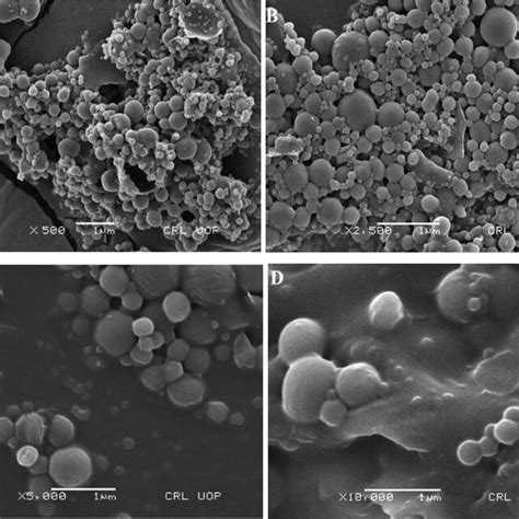 Sem Micrographs Of Acr Pc Ne At A 500× B 2500× C 5000× And D Download Scientific