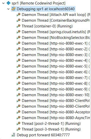 Docs Add Documentation For Remote Debug Support In Codewind · Issue