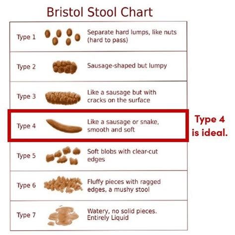 5 Tips For Managing Constipation In Ms Can Do Ms
