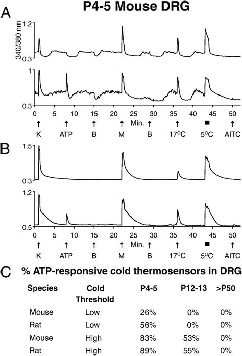 Developmental Difference In Atp Sensitivity Of Cold Thermosensors See