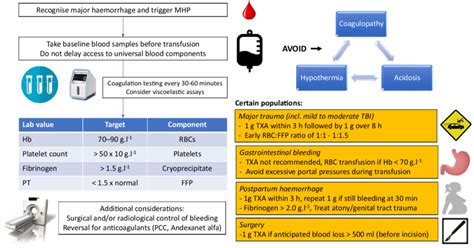 Key Principles For The Management Of Major Haemorrhage In General And Download Scientific
