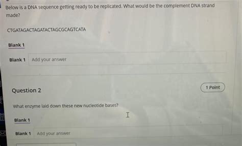 Solved Below Is A DNA Sequence Getting Ready To Be Chegg