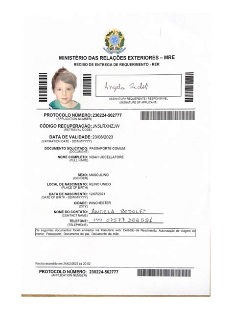 Recibo De Entrega De Requerimento Rer Pdf