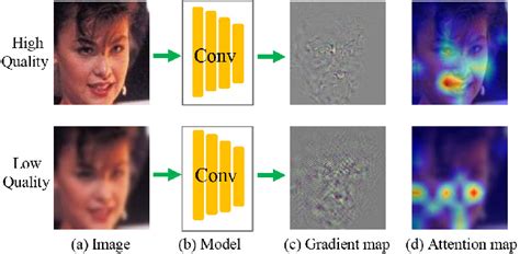 Figure 2 From Texture Guided Transfer Learning For Low Quality Face