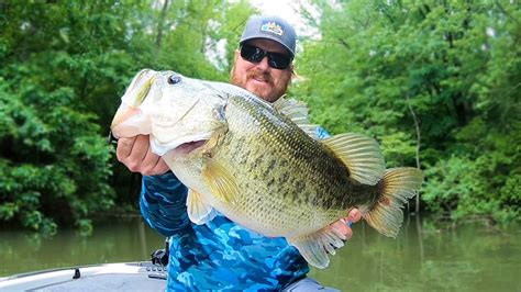 Frog Fishing And Topwater On Lake Chickamauga Big Bass Caught Youtube