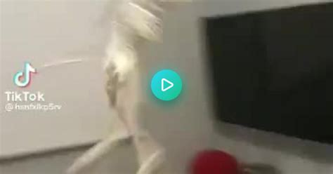 Skeleton Spin Album On Imgur