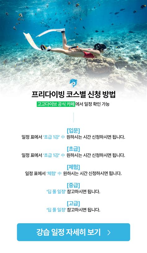 고고다이브 홈페이지 프리다이빙 스킨스쿠버 머메이드 자격증 강습 국내외 투어와 동호회 활동