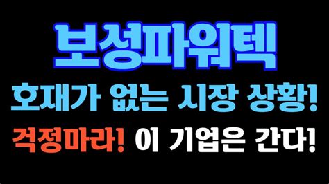 보성파워텍 호재가 없는 시장 상황 걱정마라 이 기업은 간다 보선파워텍주가 보성파워텍주가전망 보성파워텍전망 2