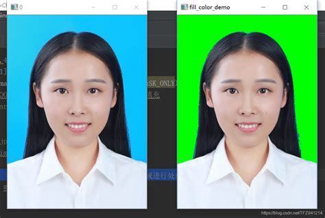 opencv编程基础5 roi与泛洪填充 opencv c 设置roi内的值为0 csdn博客