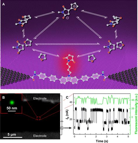 Characterization Of Single Molecule Devices A Schematic Diagram Of Download Scientific