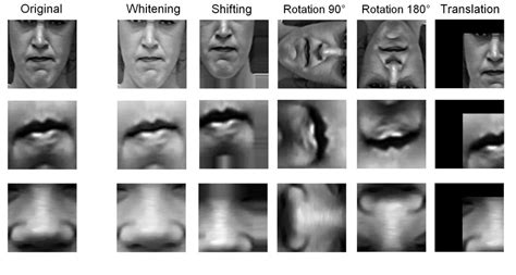 patches generation for data augmentation using transformation functions